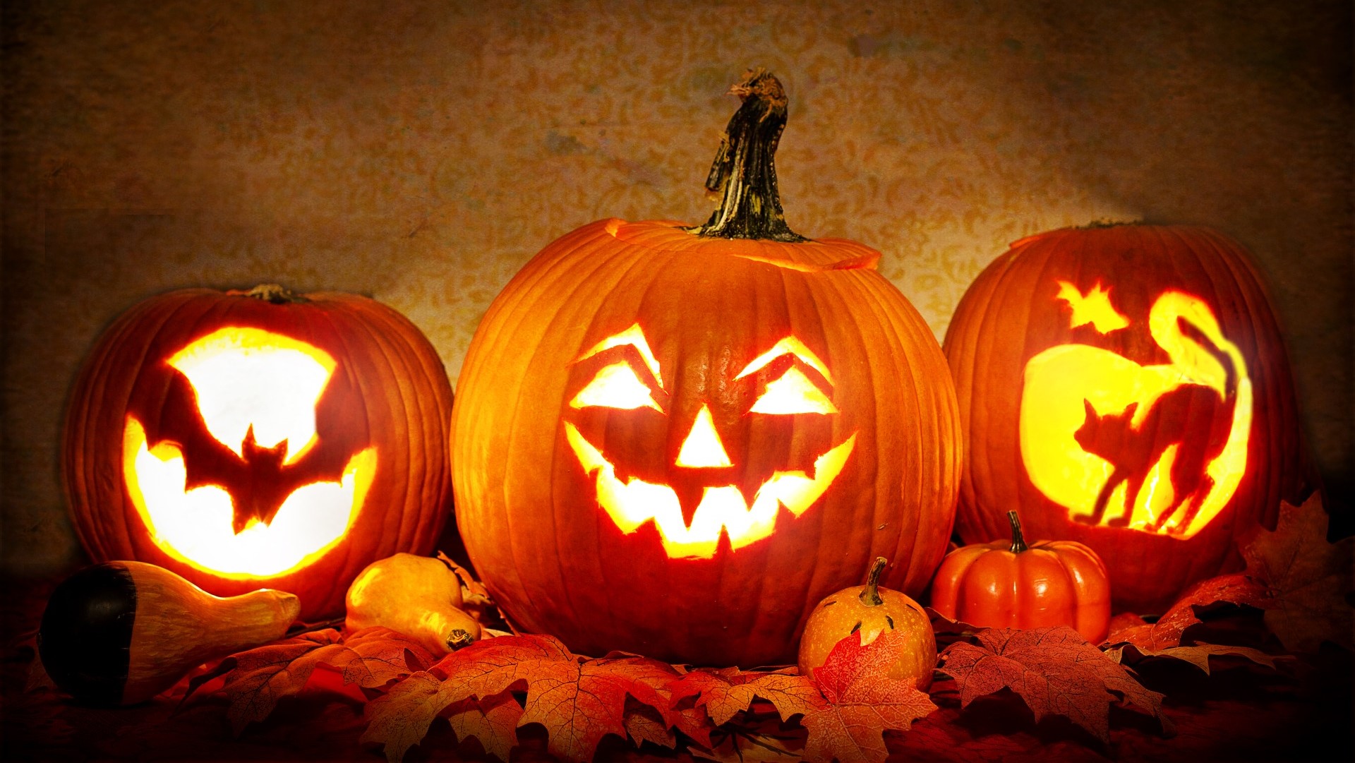 Halloween bei GPS - Vom Kürbis bis zum Gruselfilm Halloween bei GPS - Vom Kürbis bis zum Gruselfilm